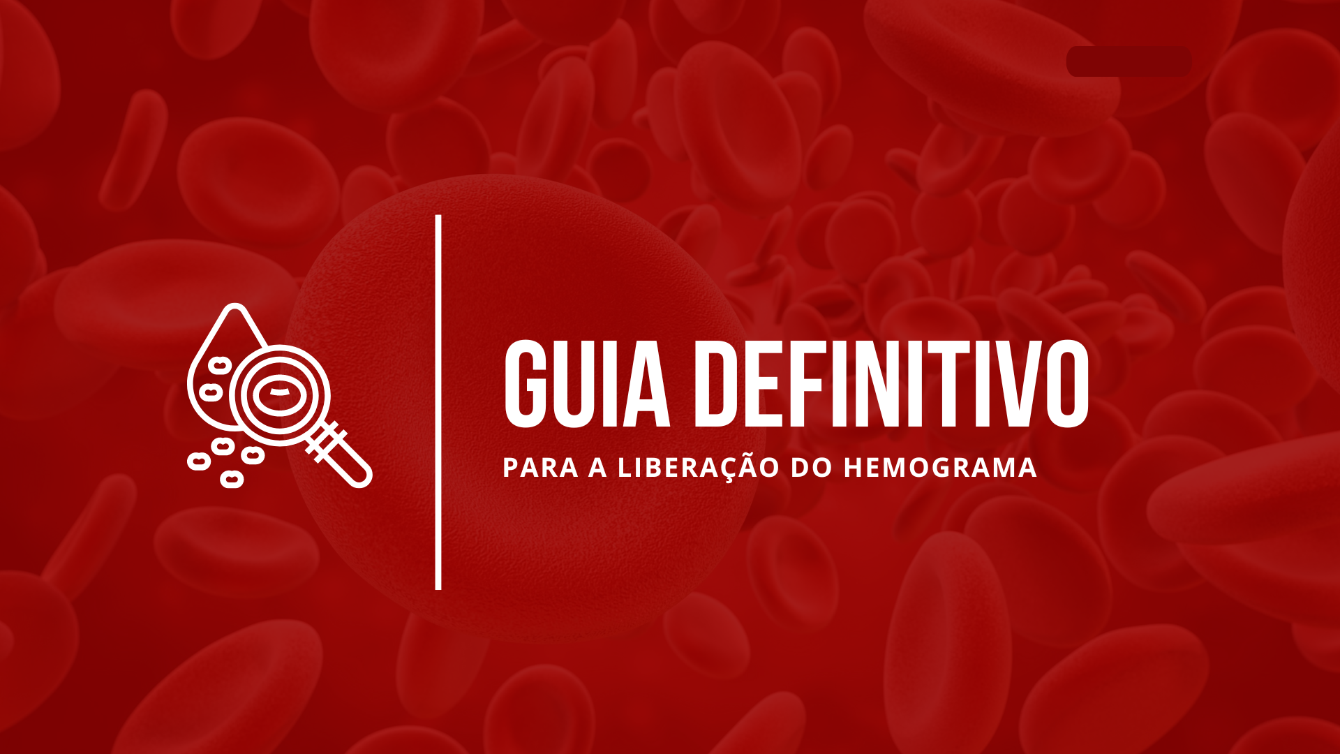 Guia definitivo – nhcl.com.br